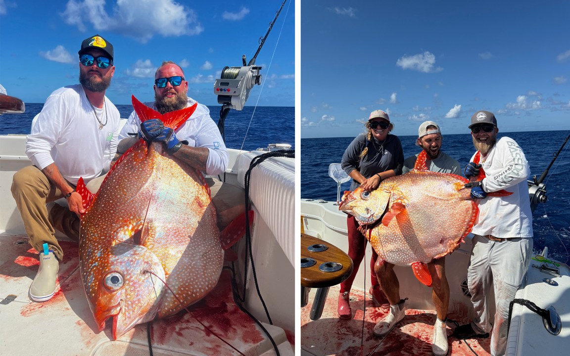 Anglers Catch Incredibly Rare Moonfish in Florida | Outdoor Life