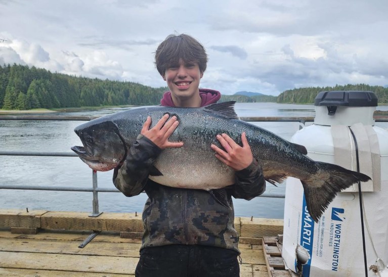 Teen Lands 51-Pound King Salmon, But Is Too Young to Win the Local Derby