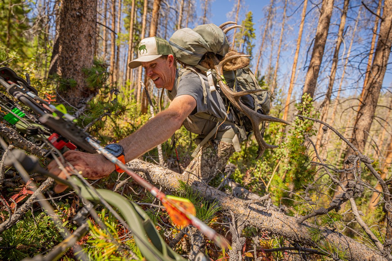 Where to Hunt for Elk: The 3 States That Still Offer Great DIY Hunts ...