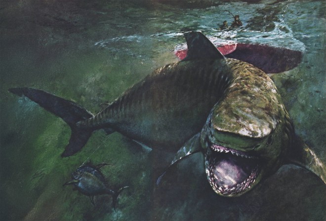 I'd Been Fighting a Tuna for 3 Hours When a 16-Foot Shark Showed Up