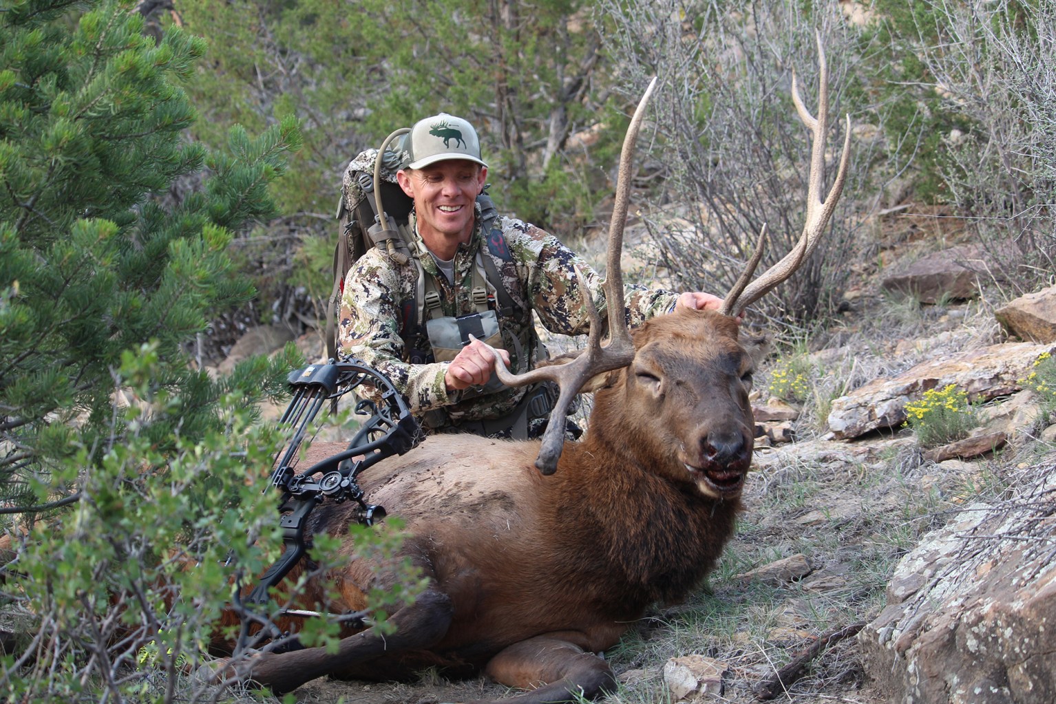 Where to Hunt for Elk: The 3 States That Still Offer Great DIY Hunts ...