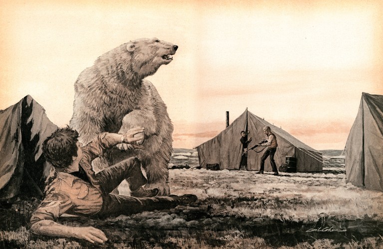 Do Bears Hold Grudges? The Legendary Tale of a Wounded Alaskan Grizzly ...