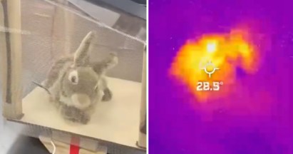 Florida Just Deployed 40 Robot Bunnies in the Everglades