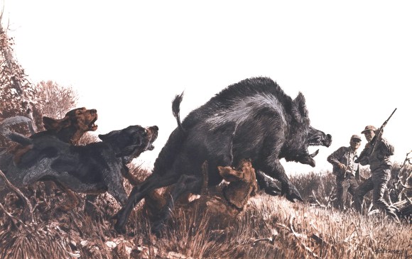 I've Been Charged by Bears and Moose. Wild Hogs Are Way More Dangerous