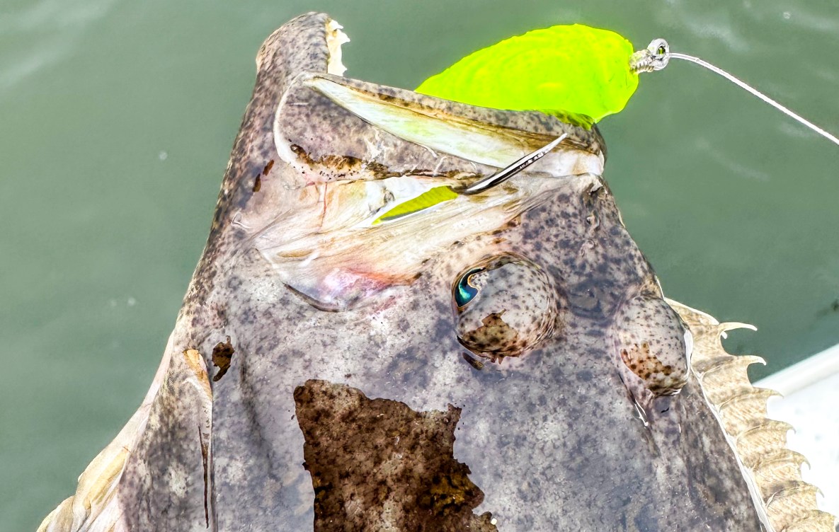 Quick Strike Podcast: How to Become a Party Boat Flounder Pounder