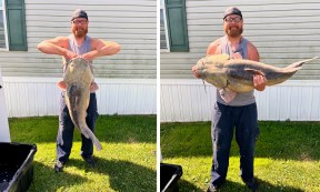 Bowfisherman Wrestles Record Catfish from a Creek | Outdoor Life