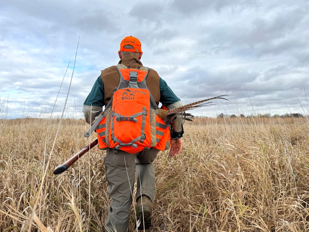 Where to Hunt Pheasants: The 4 Best States for DIY Hunters | Outdoor Life