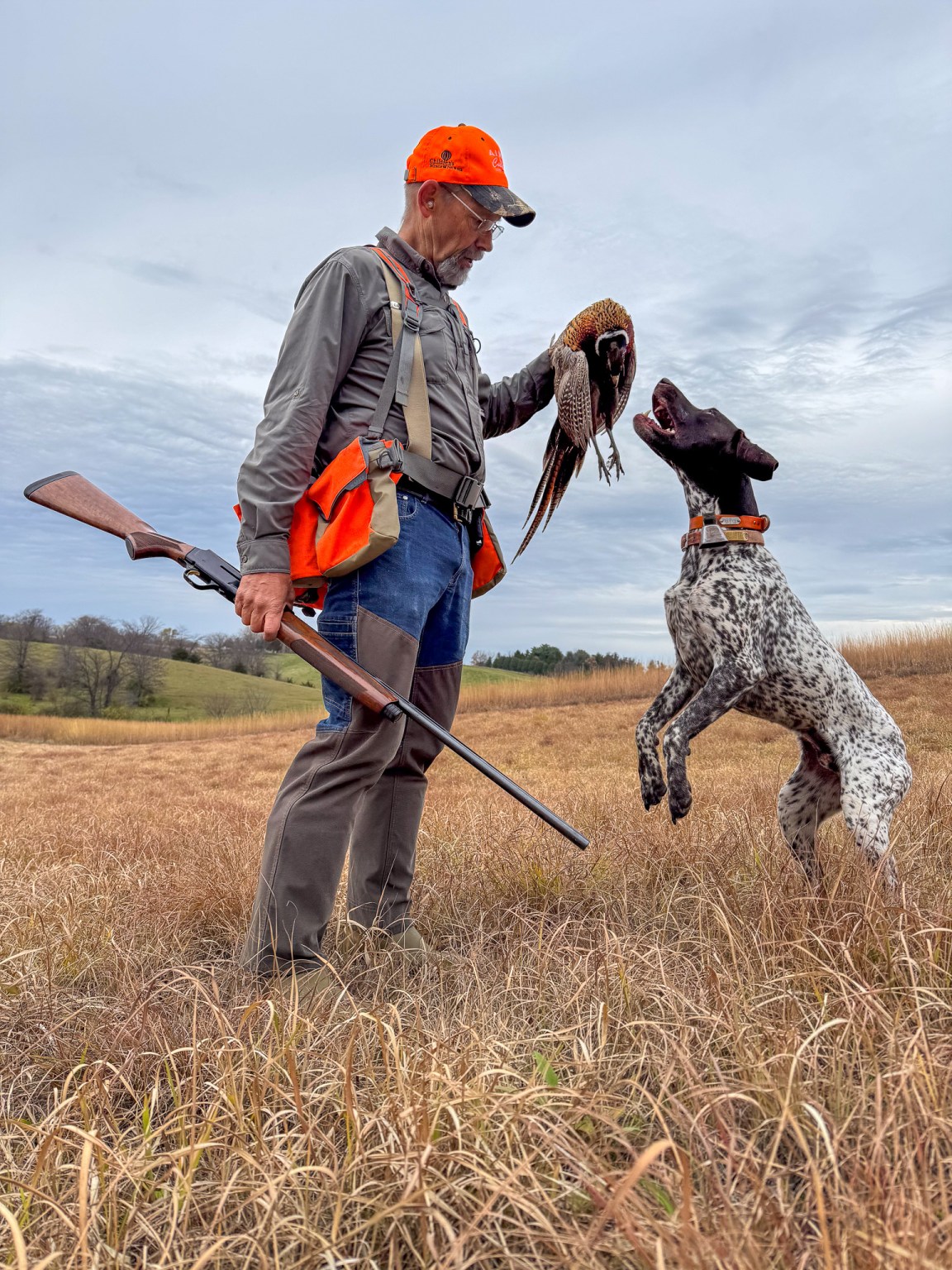 Where to Hunt Pheasants: The 4 Best States for DIY Hunters | Outdoor Life