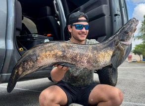 This Giant Snakehead Was Just Declared a New World Record. It Was ...