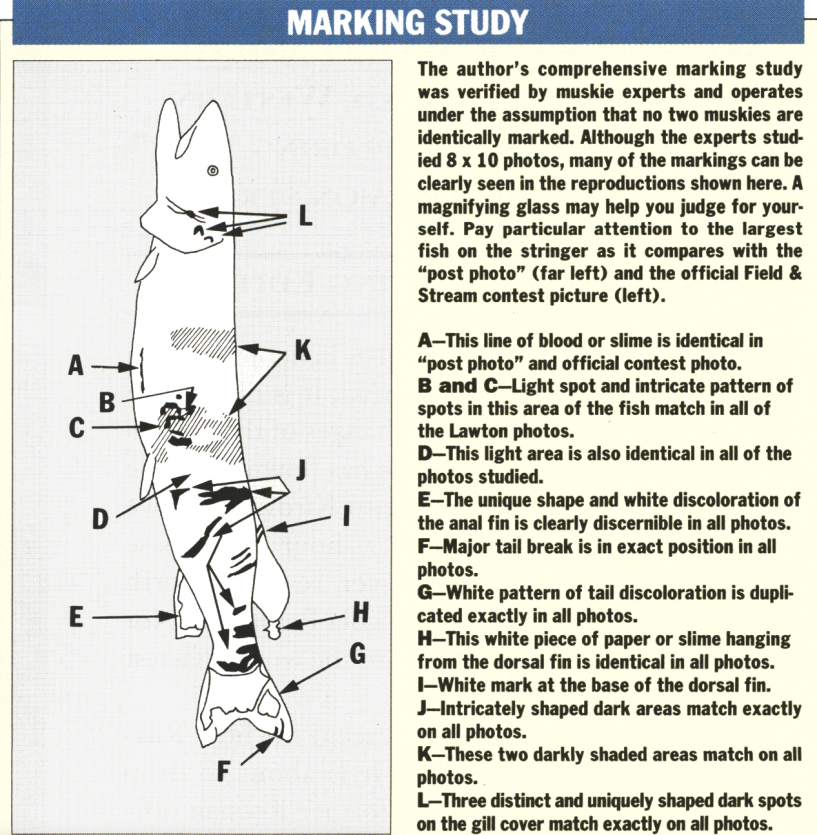 The World-Record Muskie That Turned Out to be a Hoax | Outdoor Life