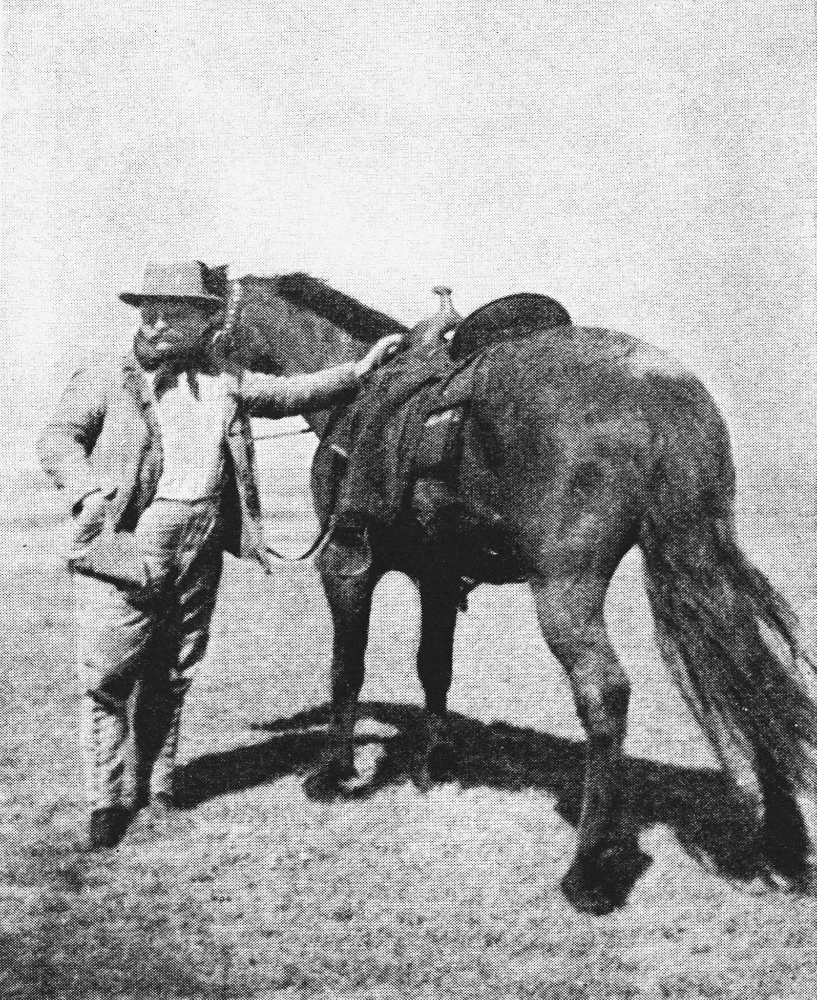 The Legendary Cowboy Who Caught More Than 1,000 Wolves With His Bare ...