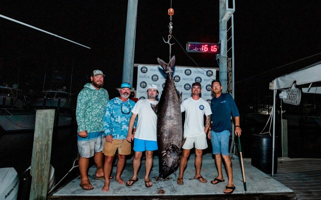 This Record Fish Caught in the Gulf Peeled Off 2,000 Feet of Line ...