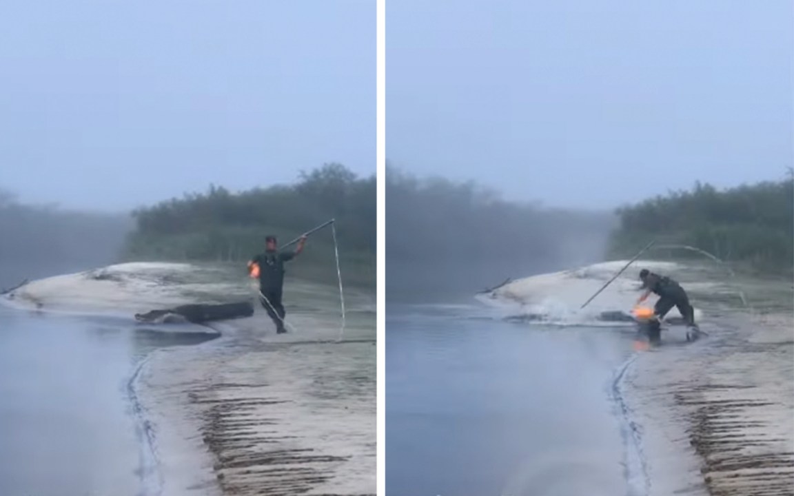 The Backstory to the Most Epic Gator Hunting Video on the Internet ...