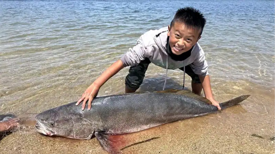 California Kid's Giant Sea Bass Could Be a New World Record, Except for ...