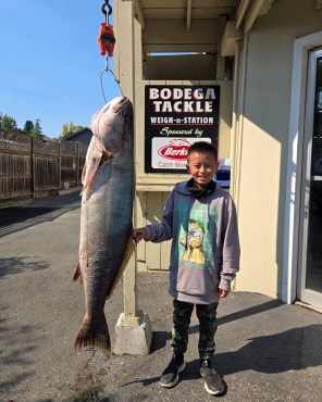 California Kid's Giant Sea Bass Could Be a New World Record, Except for ...
