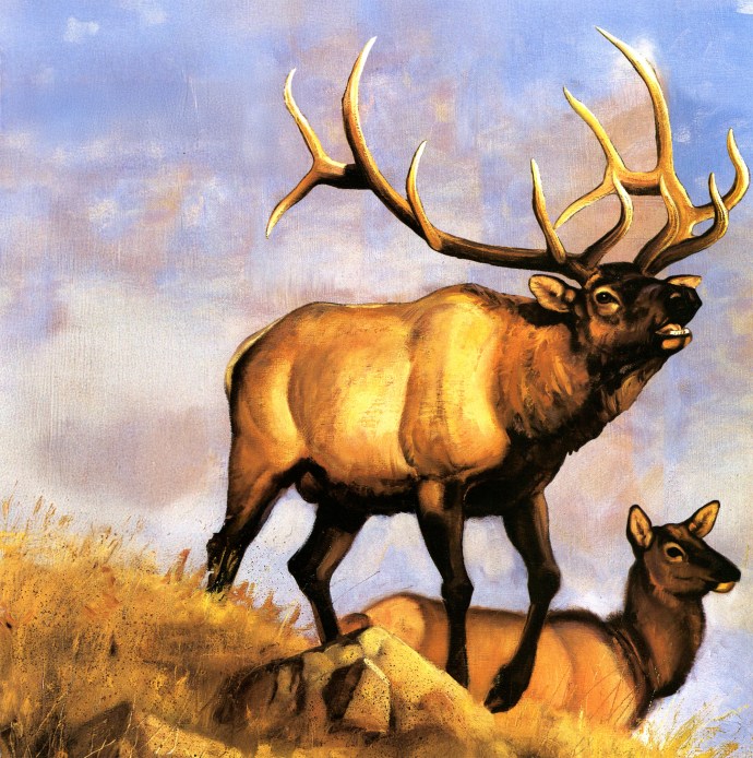 I Shot the Third Biggest Elk of All Time | Outdoor Life