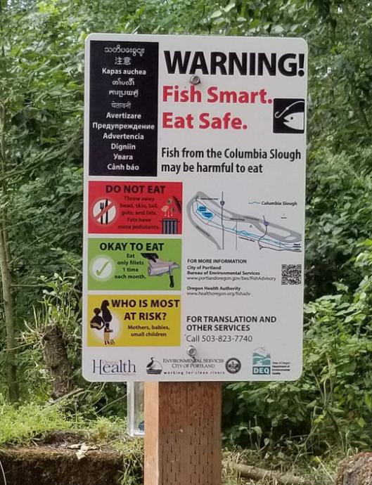 Forever Chemicals Are in Your Wild Fish and Game. You Should Eat It Anyway
