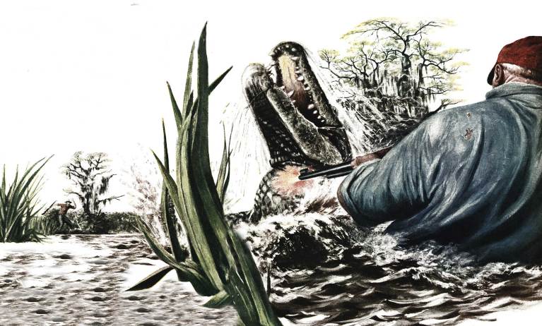 I Hunted Down the Gator That Killed My Bird Dog — and More Alligator ...