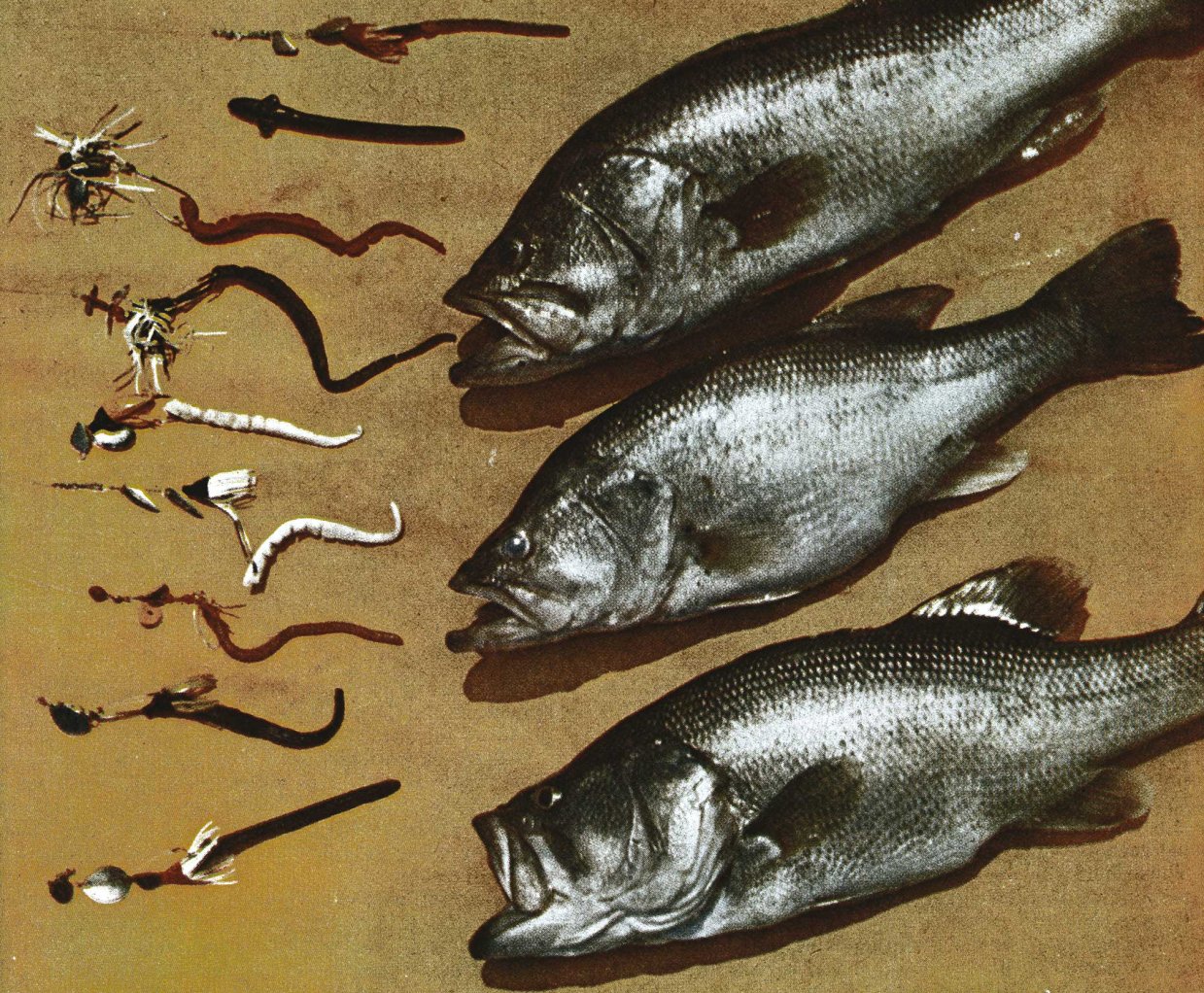 Outdoor Life: Hunting, Fishing, Gear Reviews, Survival Tips