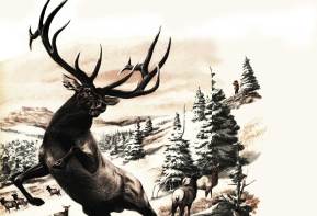 The Legendary Hunt for the Mercer Bull, One of the Biggest Elk Ever ...