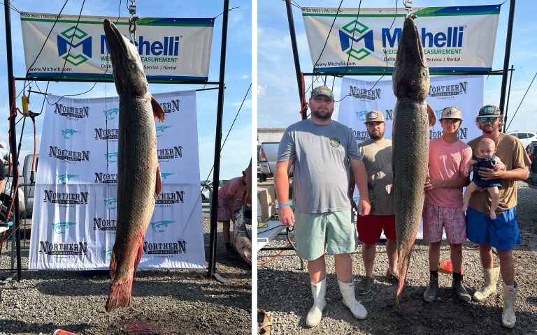 This Gar Weighs 20 Pounds More Than the State Record, But It Won't Qualify