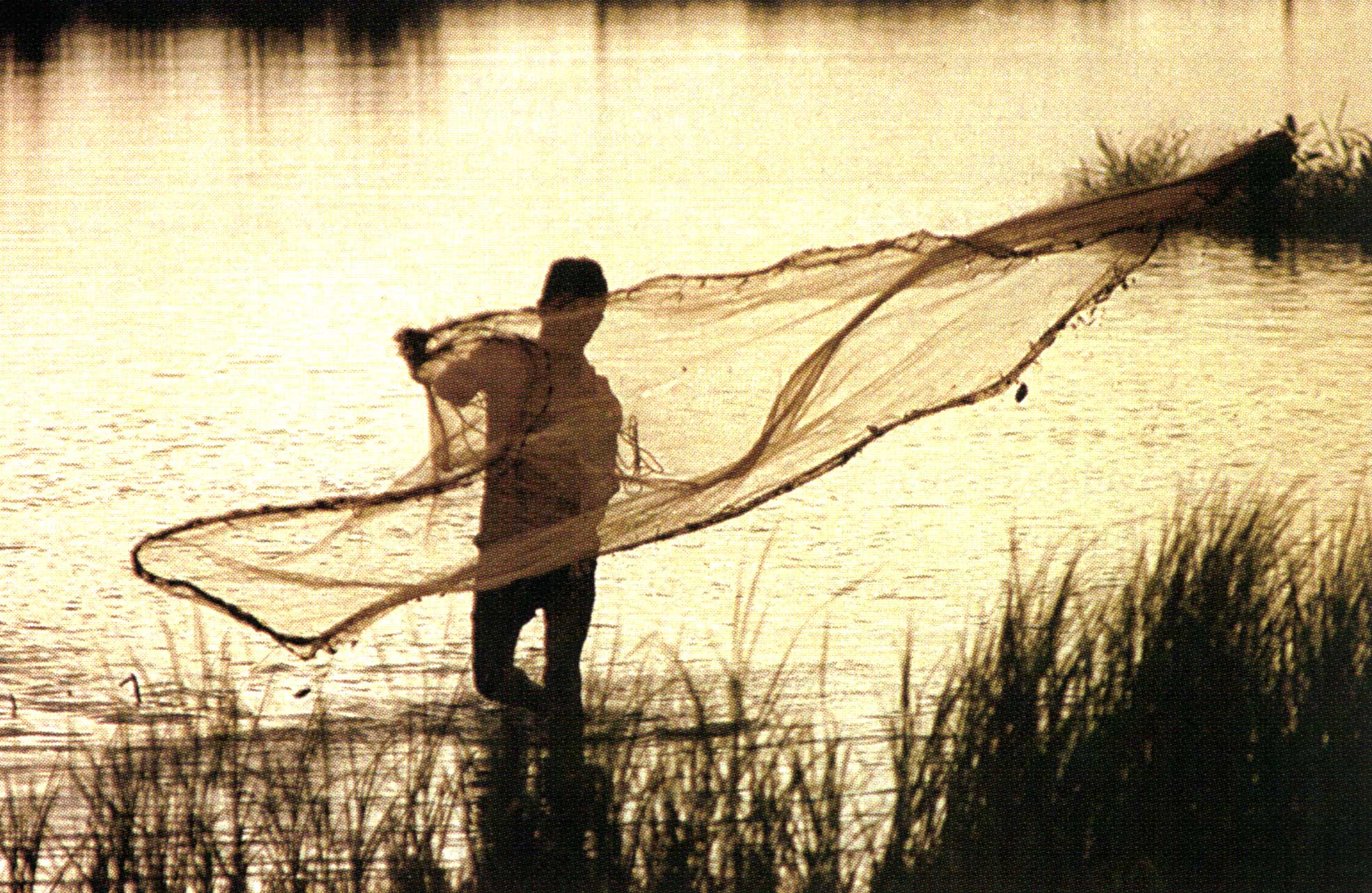 Catch These 6 Live Bait Species to Land More Fish This Summer | Outdoor ...