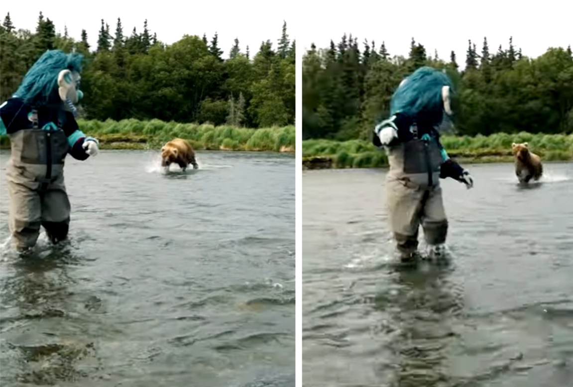 NHL Player Charged by Bear Blames Mascot Standing Next to Him | Outdoor ...