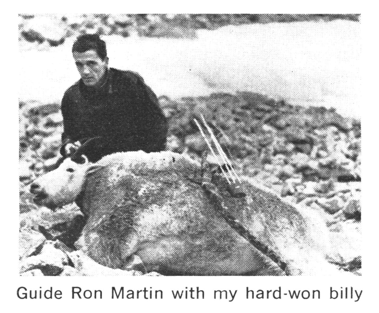 Locals Said My Way of Hunting Mountain Goats Was Madness. I Did It ...