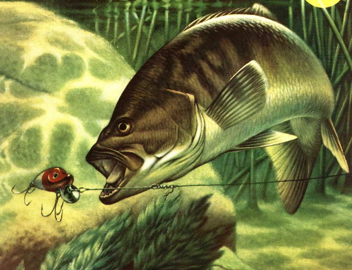 Old School Tactics for Catching Fall Smallmouth Bass | Outdoor Life