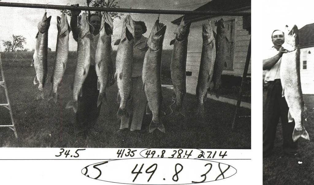 The World-Record Muskie That Turned Out to be a Hoax | Outdoor Life