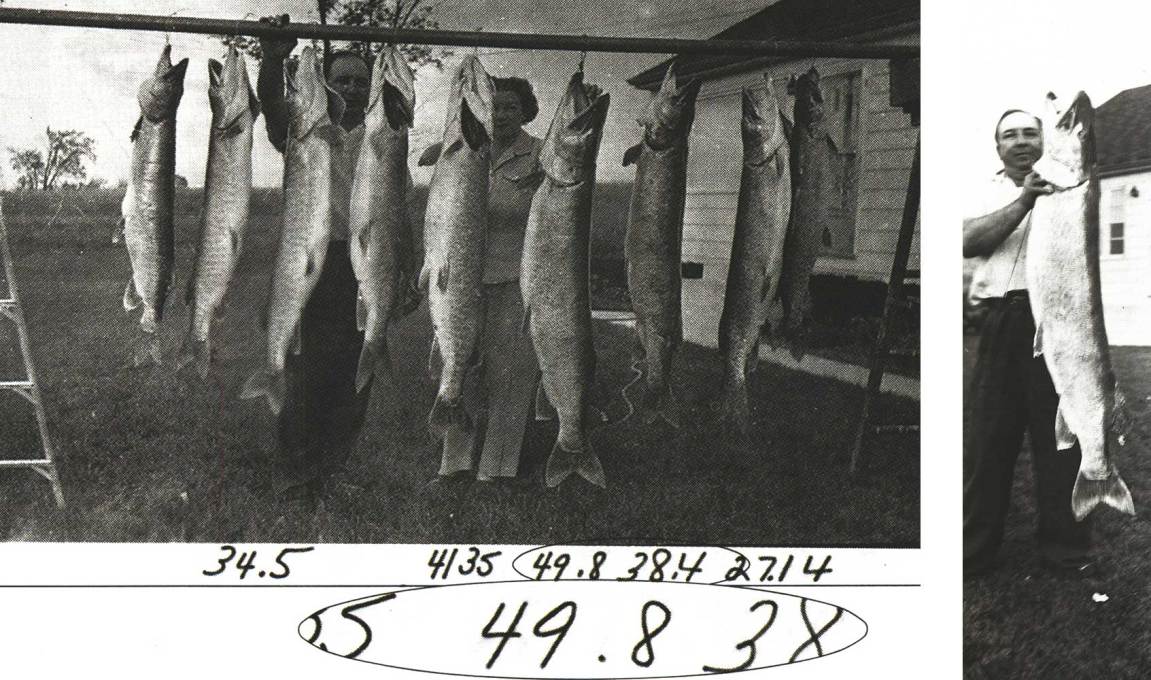 The World-Record Muskie That Turned Out to be a Hoax | Outdoor Life