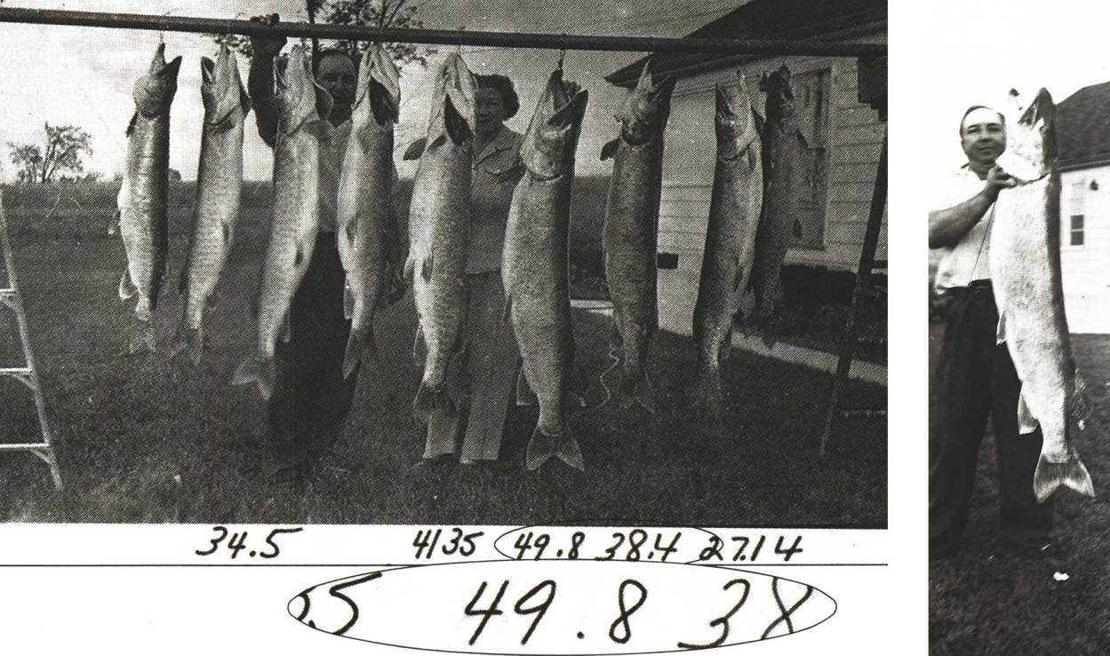 The World-Record Muskie That Turned Out to be a Hoax | Outdoor Life