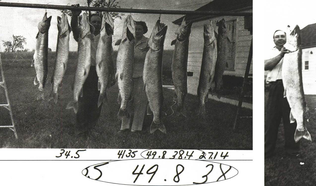 The World-Record Muskie That Turned Out to be a Hoax | Outdoor Life