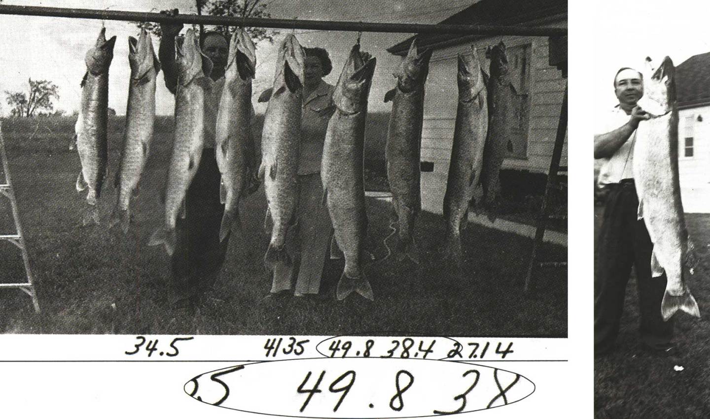 The World-Record Muskie That Turned Out to be a Hoax | Outdoor Life