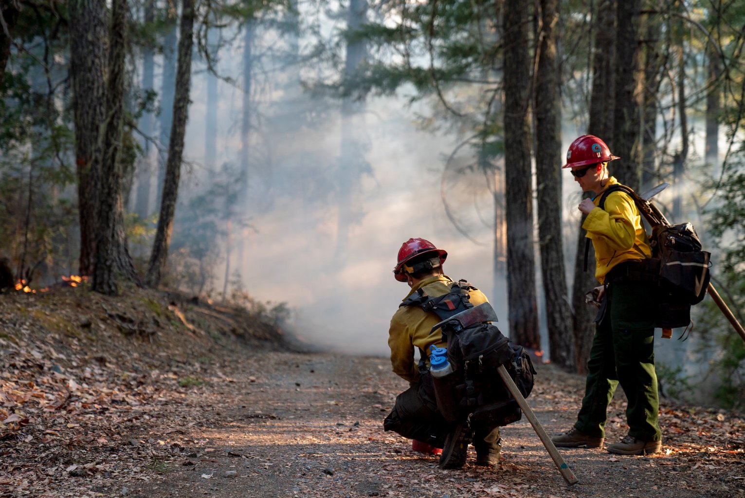 You Have Just 3 Weeks to Object to the Roadless Rule Rollback, Which ...