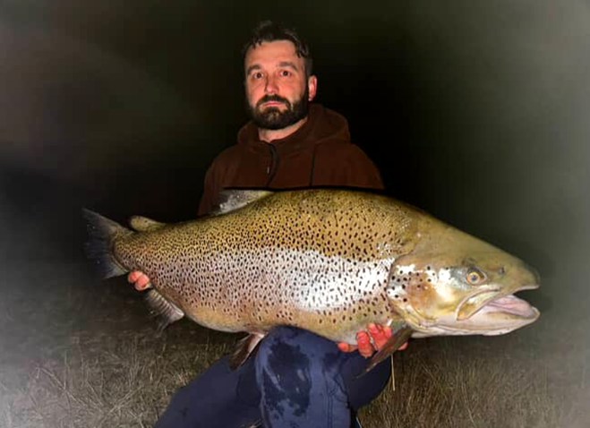 Beast of a Brown Trout Caught at Night in New Zealand Is a New World ...