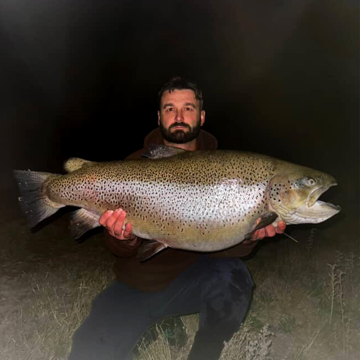 Beast of a Brown Trout Caught at Night in New Zealand Is a New World ...