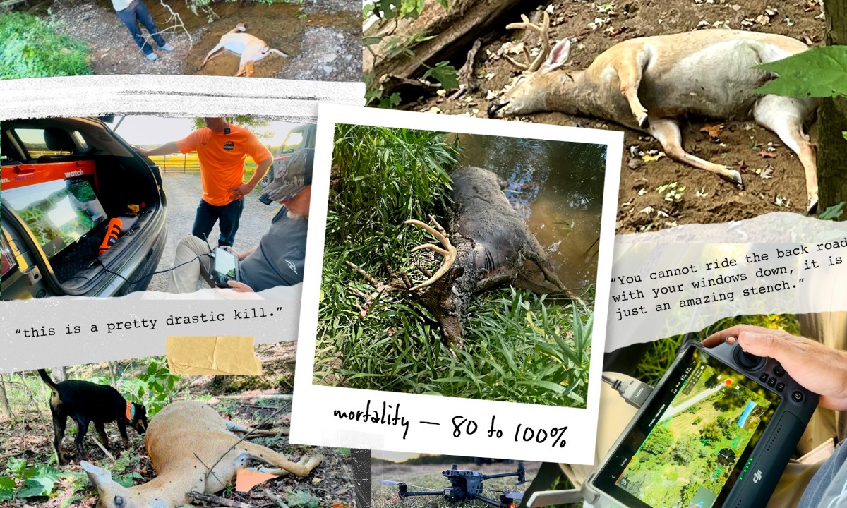 'Death Is in the Air.' This Drone Pilot and Deer Tracker Is Uncovering ...