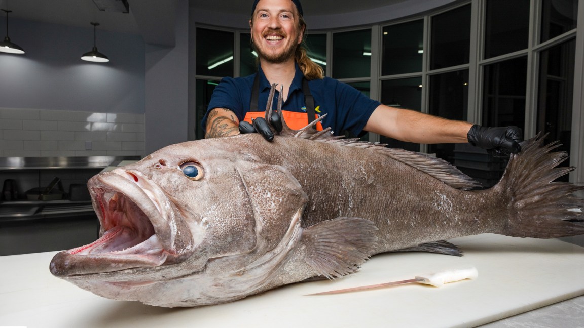 Quick Strike Podcast: How to Maximize Fillets, with Reed “The Fish ...