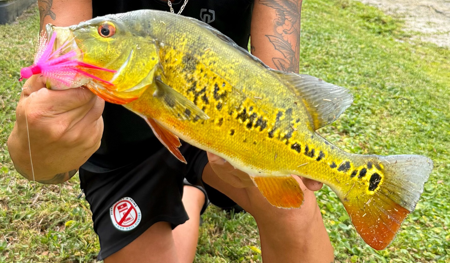 Quick Strike Podcast: You Need to Chase These Hard-Fighting Florida ...