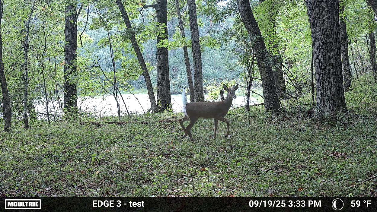 The 29 Best Hunting Gear Items We Tested in 2025 | Outdoor Life