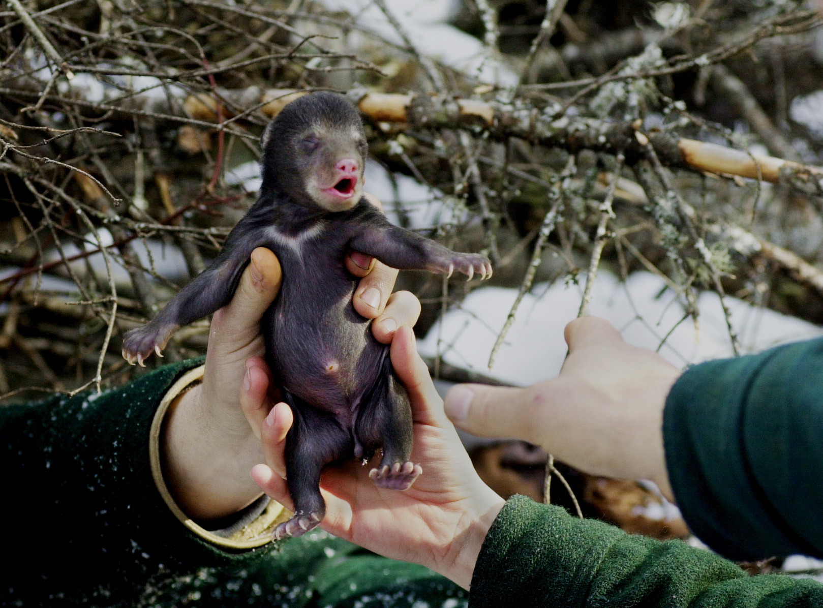 13 Weird and Wonderful Wildlife Photos from a Day in the Life of a ...