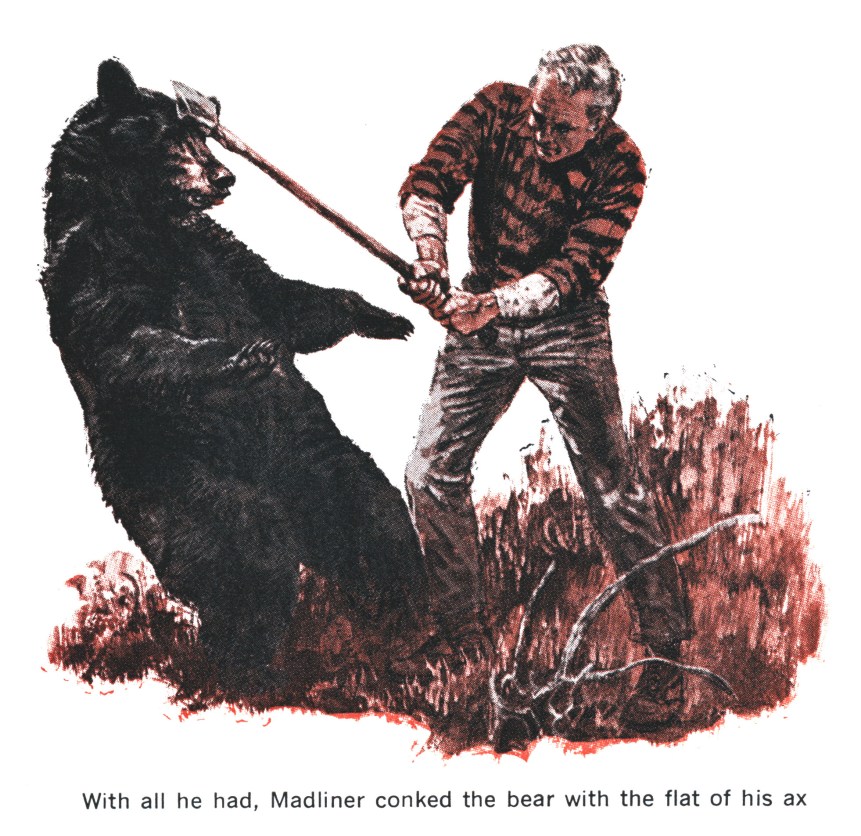 I’ve Lived in Bear Country My Whole Life. Here’s What Happens When ...