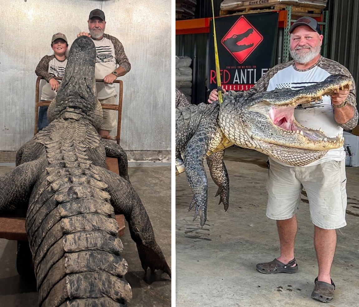 'It About Snatched Me Out of the Boat.' Hunters Tag Giant Gator That's ...