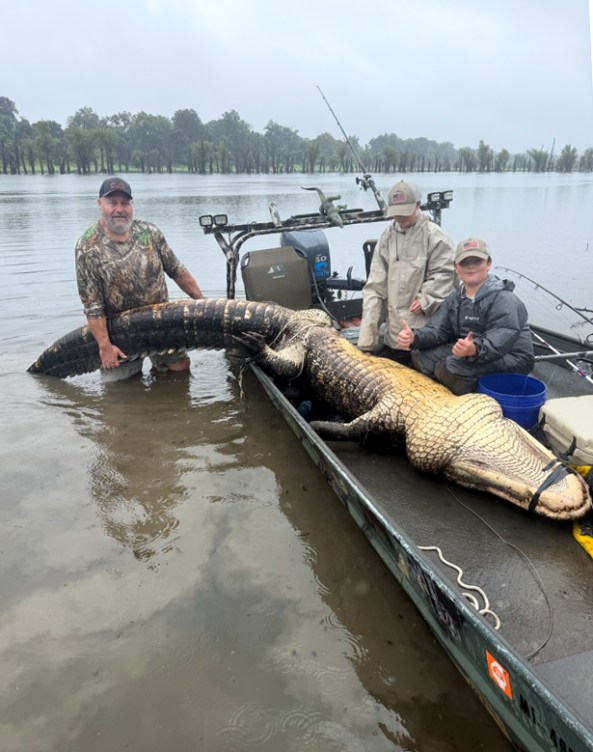 'It About Snatched Me Out of the Boat.' Hunters Tag Giant Gator That's ...