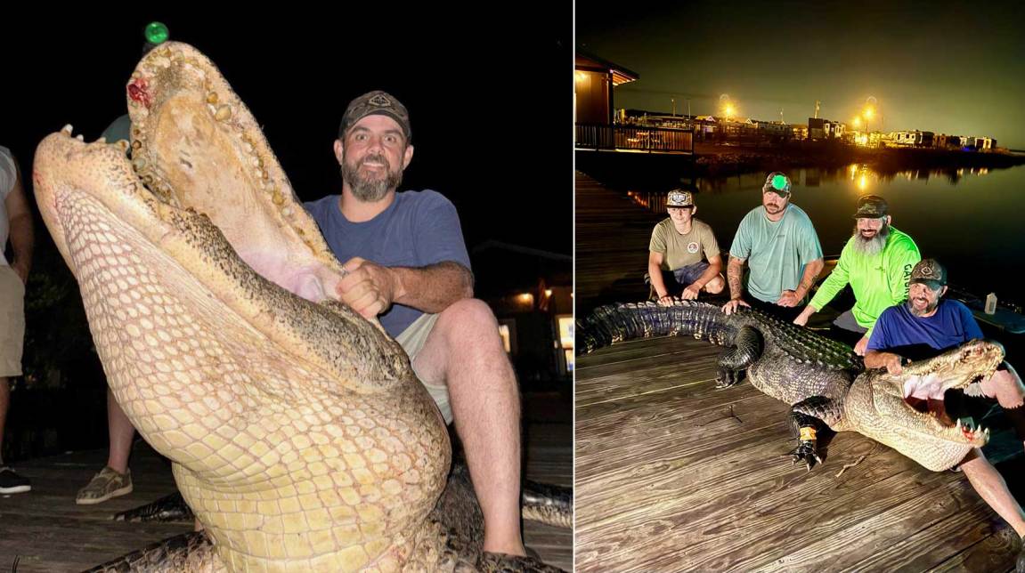 Hunters Tag 'Dragon-Size' Alligator in Mississippi’s Ross Barnett Reservoir