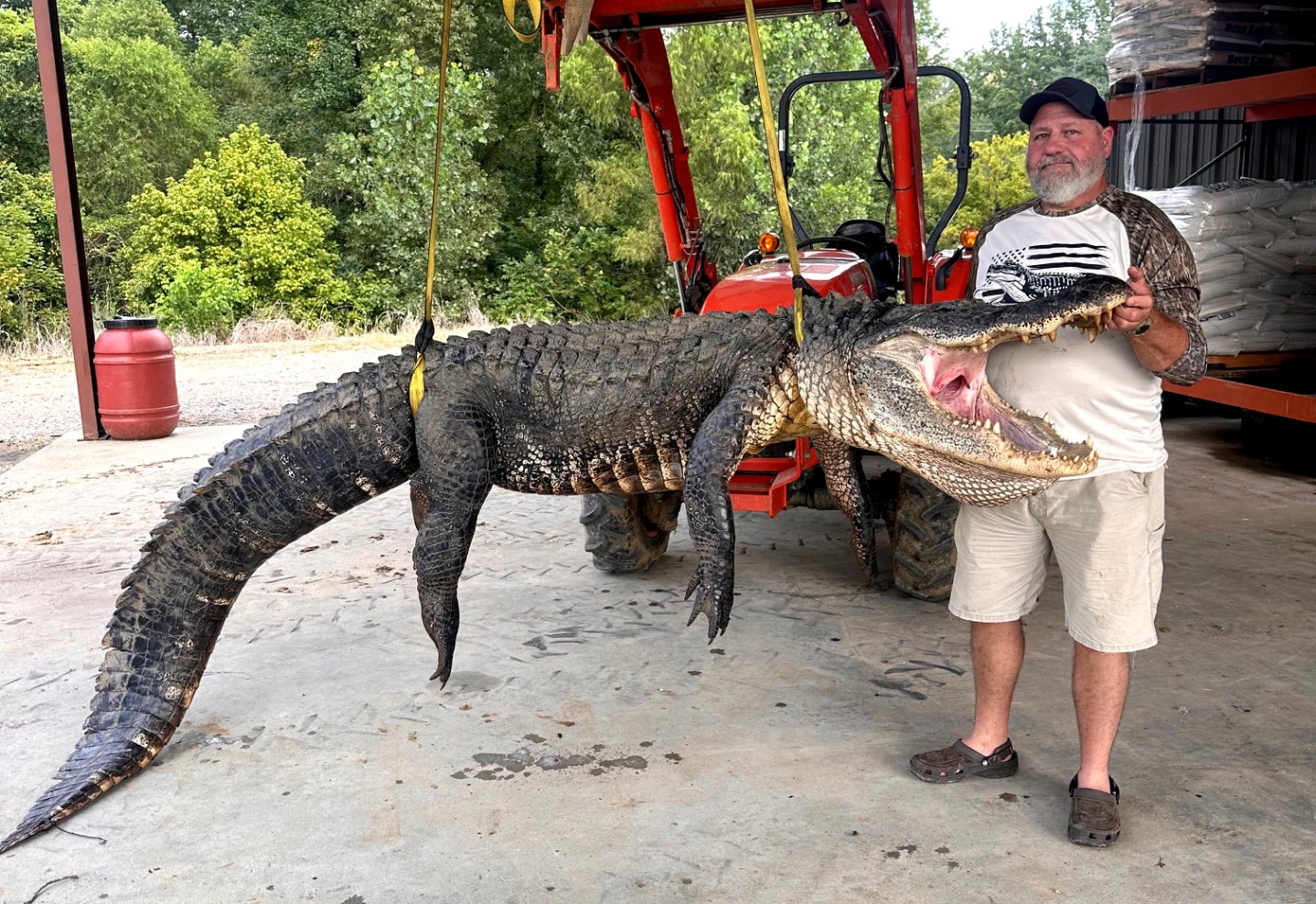 'It About Snatched Me Out of the Boat.' Hunters Tag Giant Gator That's ...