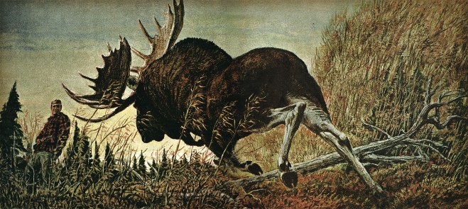 What I've Learned from the 50-Plus Moose I've Killed, and the Ones That ...