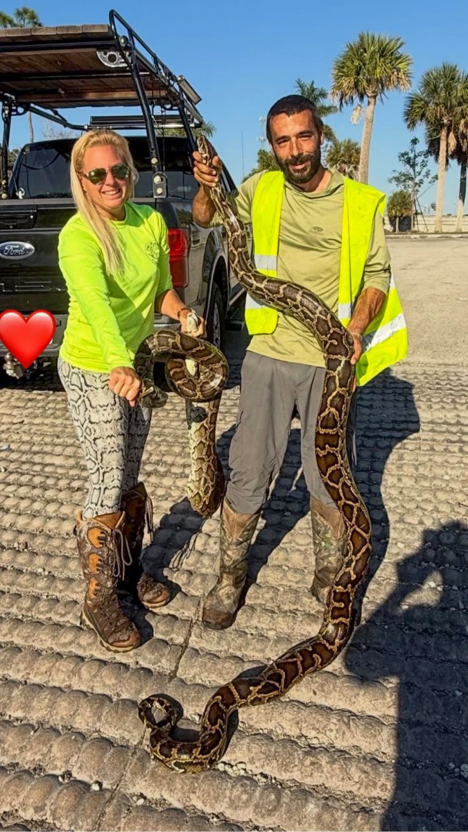 Can You Make a Living Hunting Pythons? We Asked Florida’s Invasive Snake Contractors | Outdoor Life