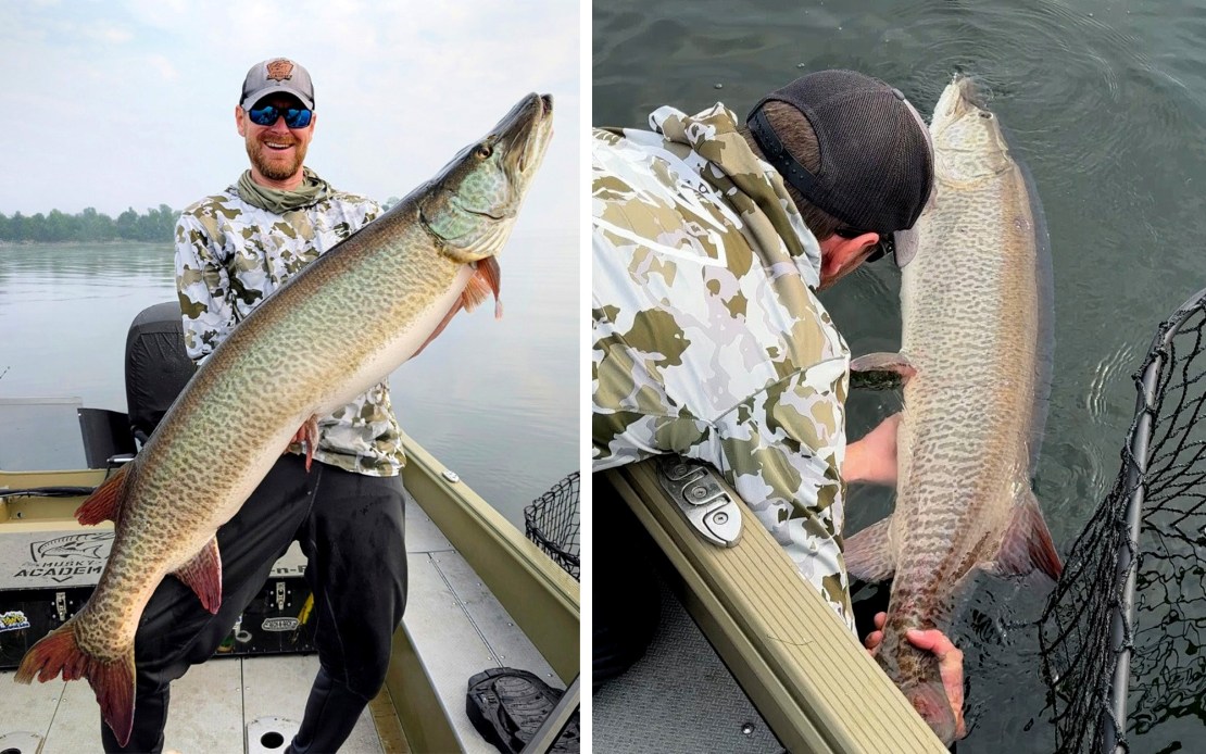Giant Muskie Caught and Released in Green Bay Is a New Wisconsin Record ...